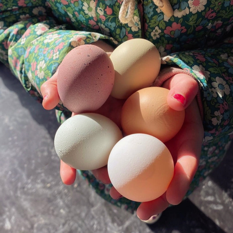 Introducing: Cacklebean Eggs